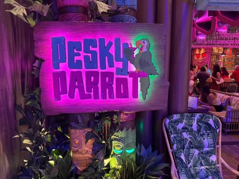 A Complete Guide to Disney Cruise Line's Castaway Club - The Cruising ...